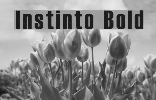 Instinto Bold Font - Free Download (TTF/OTF) | FFonts.net