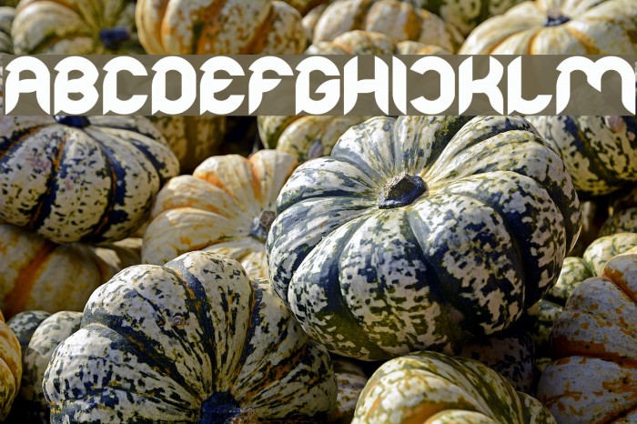 Intan Putri Pratiwi Bold Font - FFonts.net