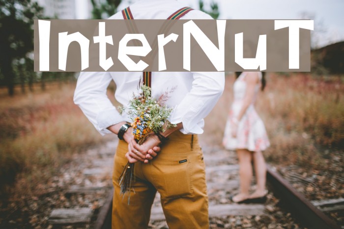InterNuT Font - FFonts.net