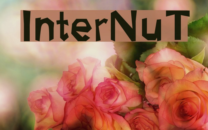 InterNuT Font - FFonts.net