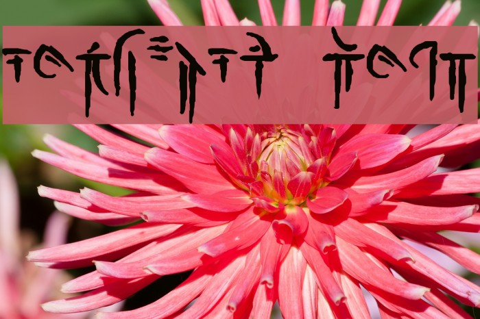 Iokharic Bold Font - FFonts.net