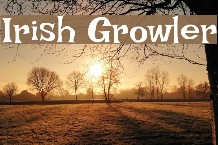Irish Growler Font - FFonts.net