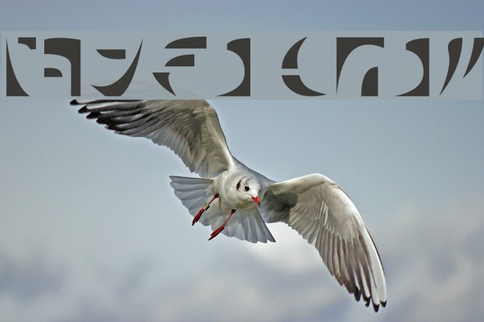 Irken Font - FFonts.net