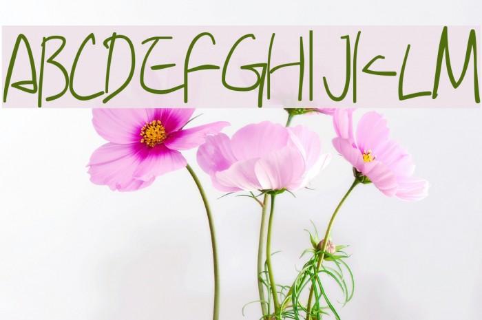 irie Font - FFonts.net