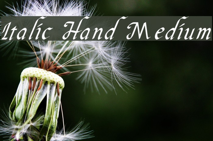 Italic Hand Medium Font - FFonts.net