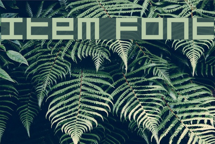 Item Font - FFonts.net