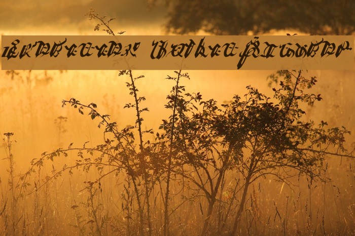 Ivalician GothicRegular Font - FFonts.net