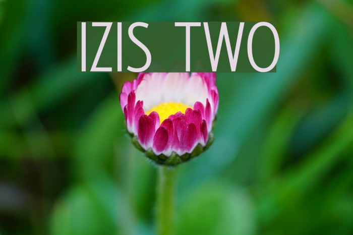 Izis Two Font - FFonts.net