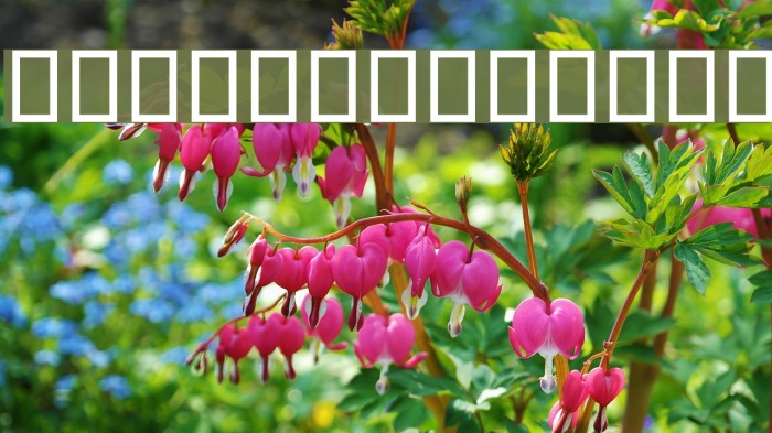 Jalaal Font - FFonts.net