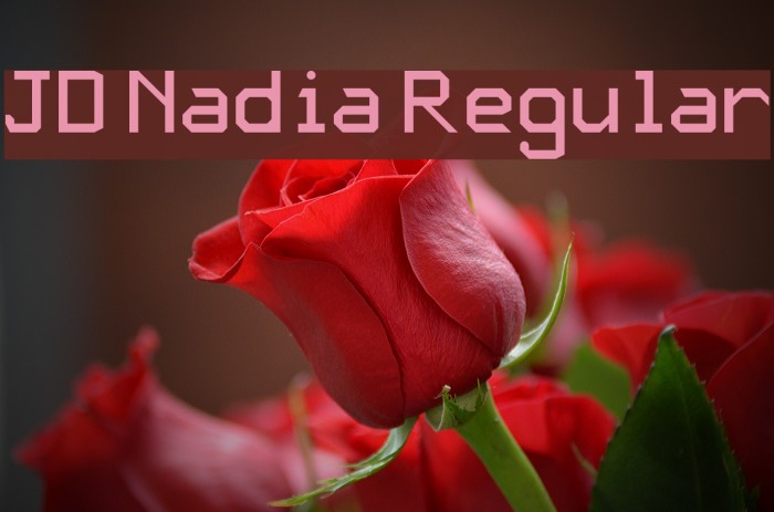JD Nadia Regular Font - FFonts.net