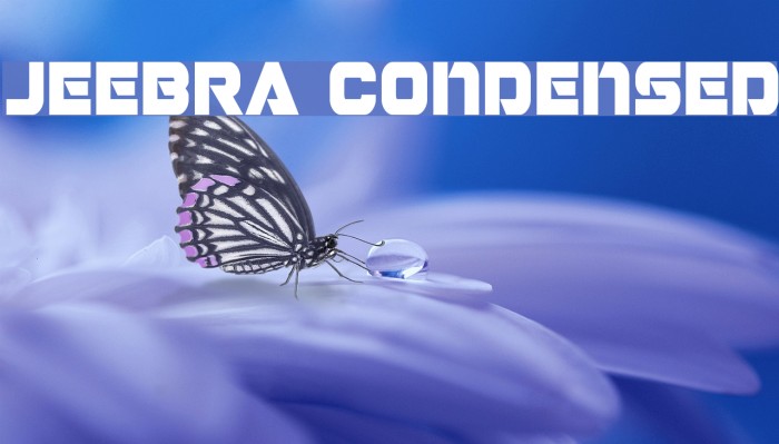 Jeebra Condensed Font - FFonts.net