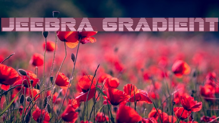 Jeebra Gradient Font - FFonts.net