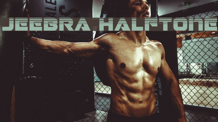 Jeebra Halftone Font - FFonts.net