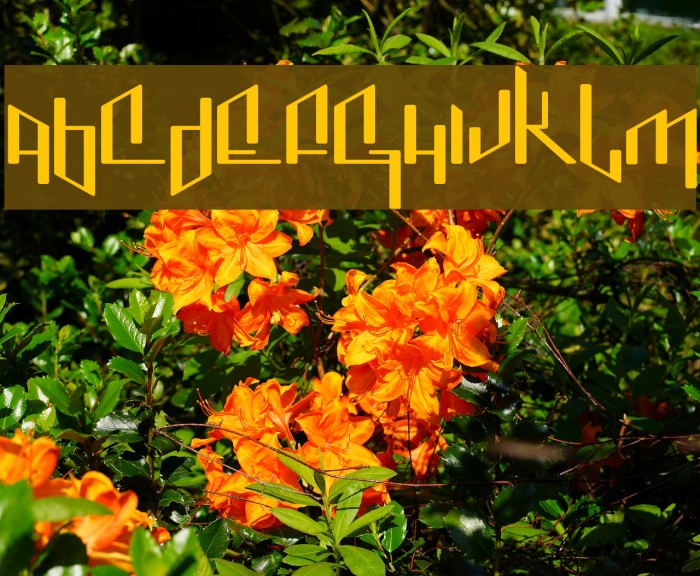 Jenice Font - FFonts.net