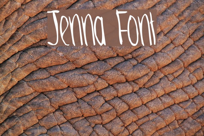 Jenna Font - FFonts.net