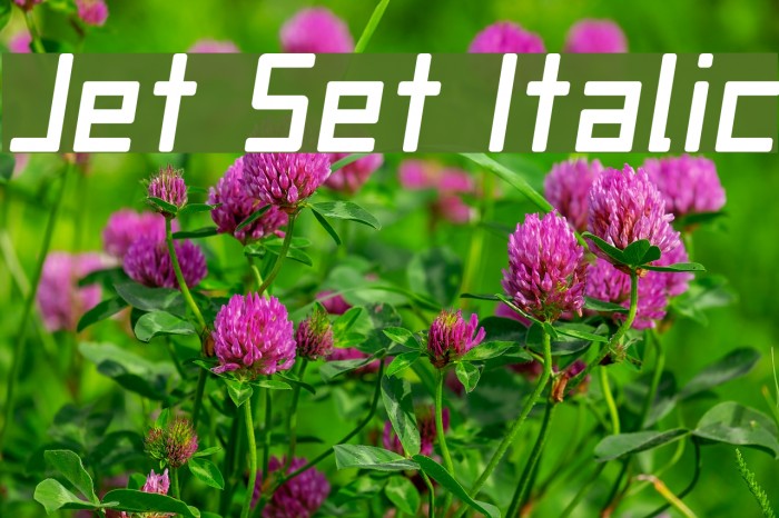 Jet Set Italic Font - FFonts.net
