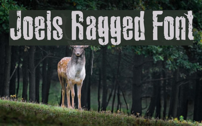 Joels Ragged Font Font - FFonts.net
