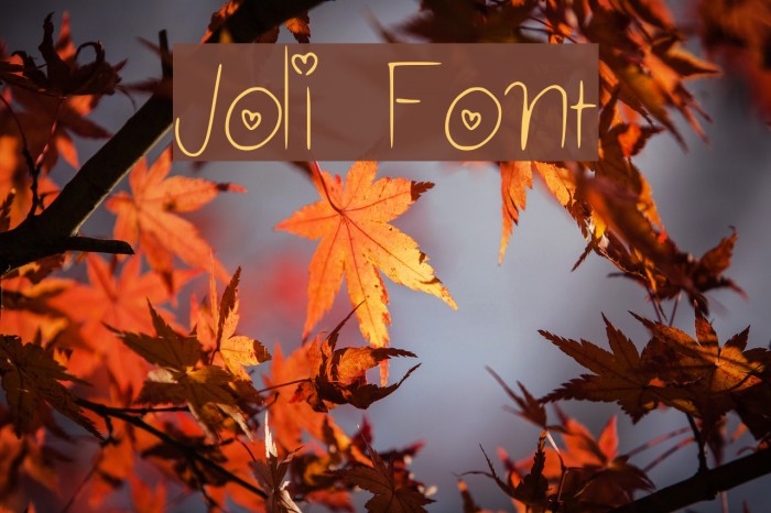 Joli Font - FFonts.net