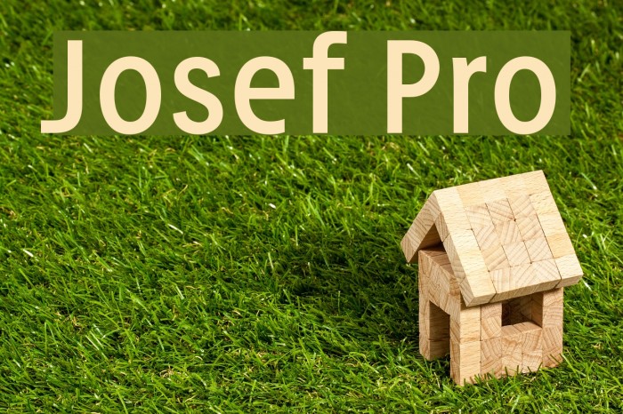 Josef Pro Font - FFonts.net