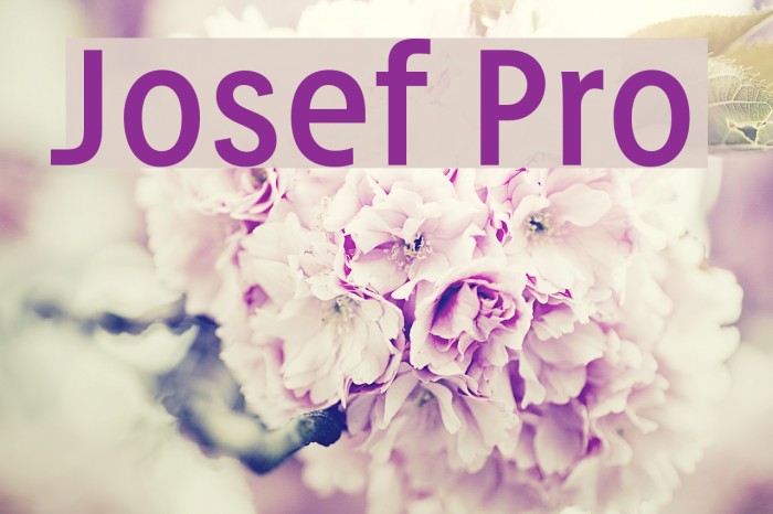 Josef Pro Font - FFonts.net