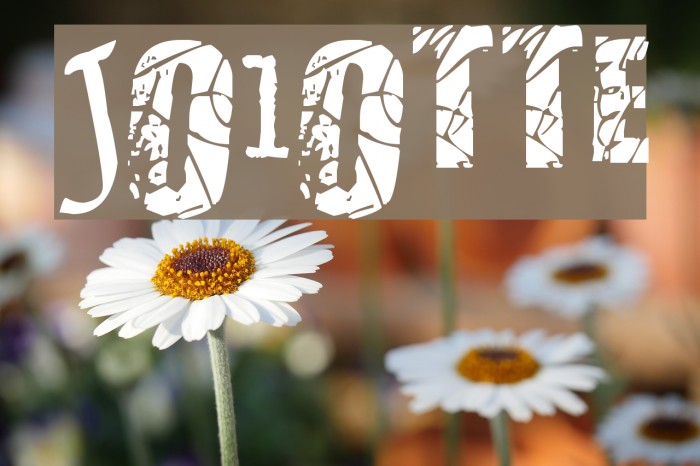 jolotte Font - FFonts.net