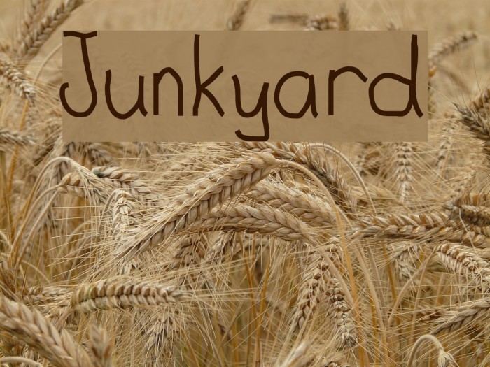 Junkyard Font - FFonts.net