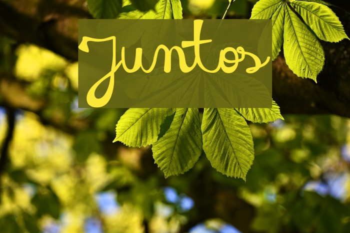 Juntos Font - FFonts.net