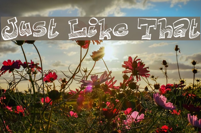 Just Like That Font - FFonts.net