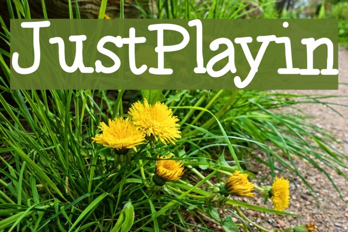 JustPlayin Font - FFonts.net