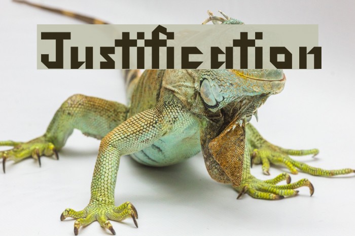 Justification Font - FFonts.net