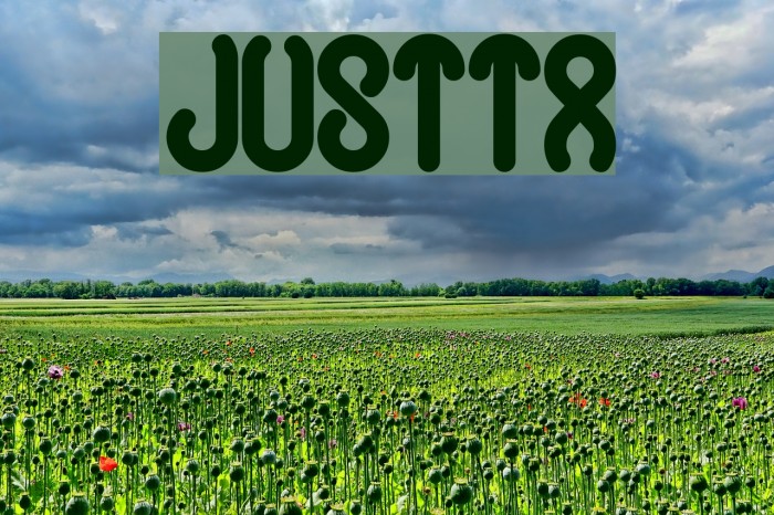 justta Font - FFonts.net