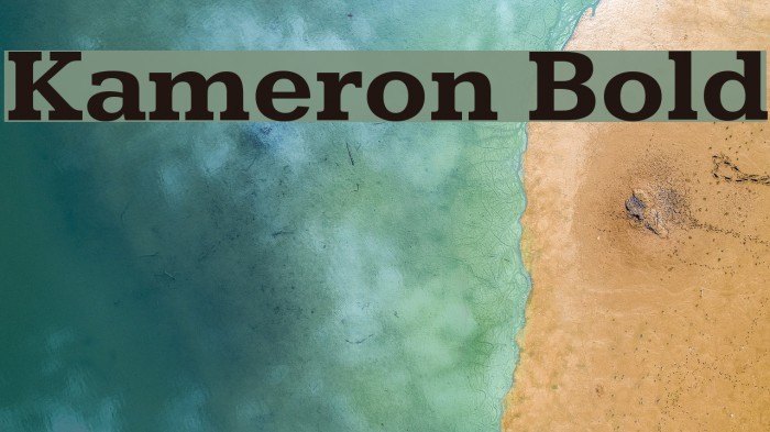 Kameron Bold Font - FFonts.net