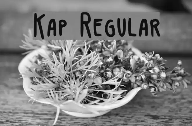 Kap Regular Font | Free Download (TTF/OTF) | FFonts.net