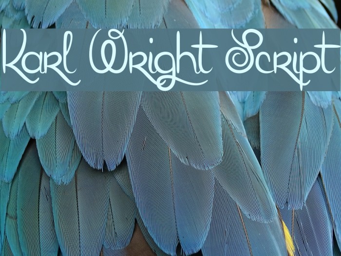 Karl Wright Script Font - FFonts.net