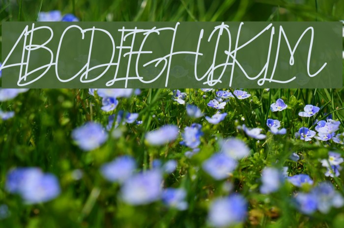 Katty Pretty 1 Font - FFonts.net