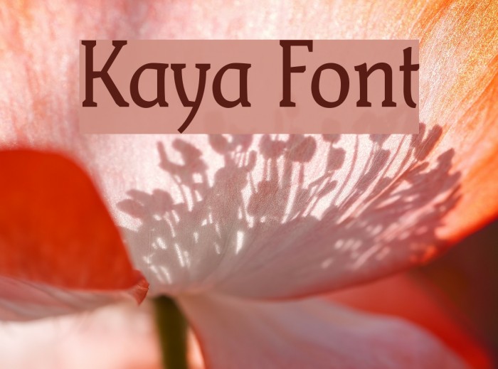 Kaya Font - FFonts.net