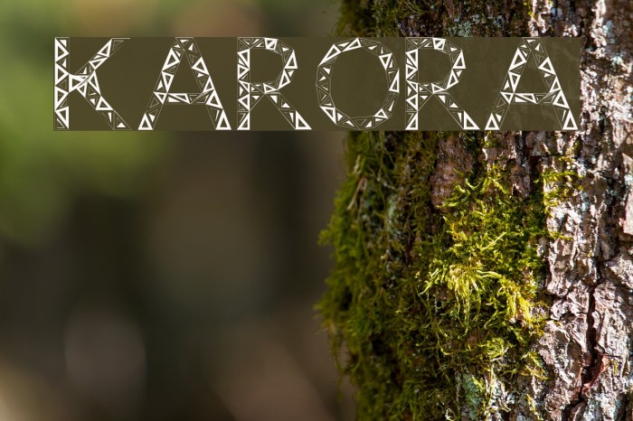 karora Font - FFonts.net