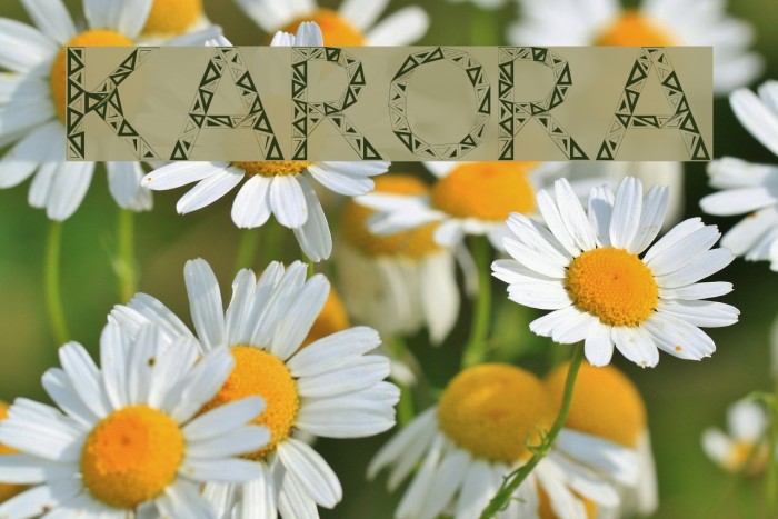 karora Font - FFonts.net