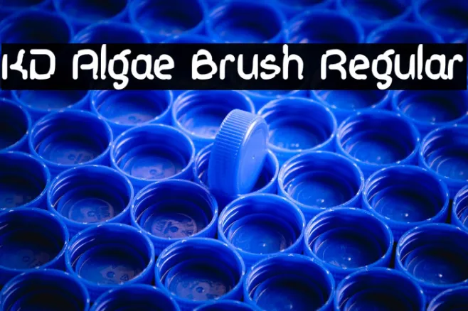 KD Algae Brush Regular Font | Free Download (TTF/OTF) | FFonts.net