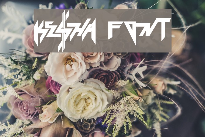 Ke$ha Font - FFonts.net