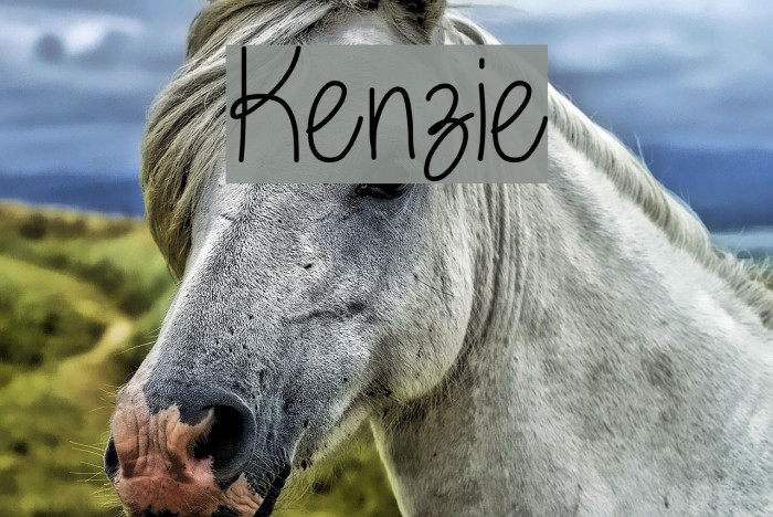 Kenzie Font - FFonts.net
