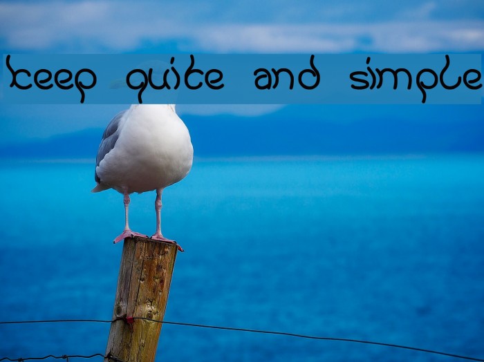 keep quite and simple Font - FFonts.net