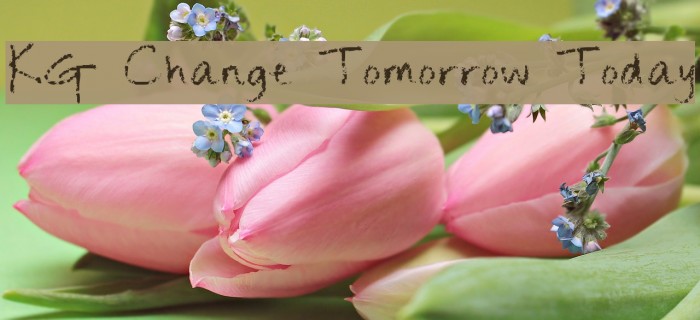 KG Change Tomorrow Today Font - FFonts.net