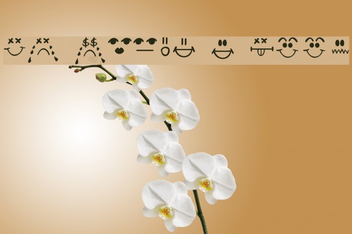 KG Today I Feel Font - FFonts.net