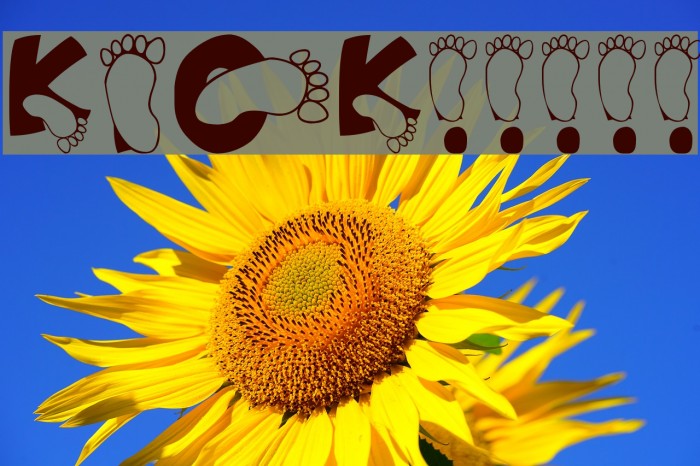 KICK!!!!! Font - FFonts.net