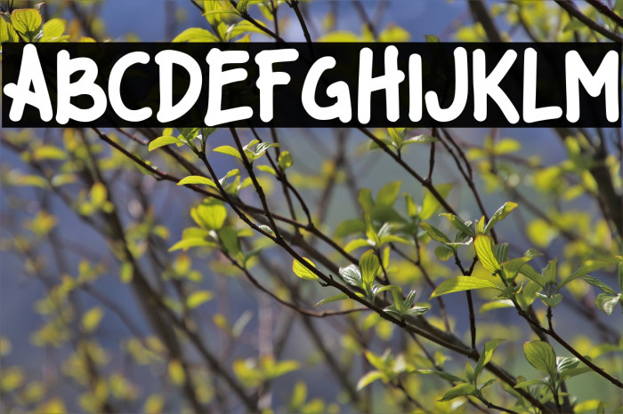 Kiddos Font - FFonts.net