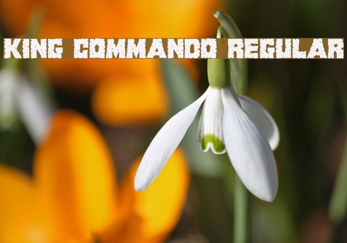 King Commando Regular Font - FFonts.net