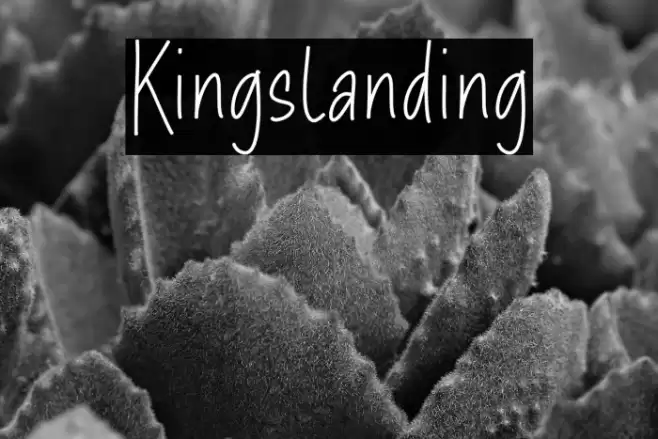 Kingslanding Font | Details & Characters — FFonts.net