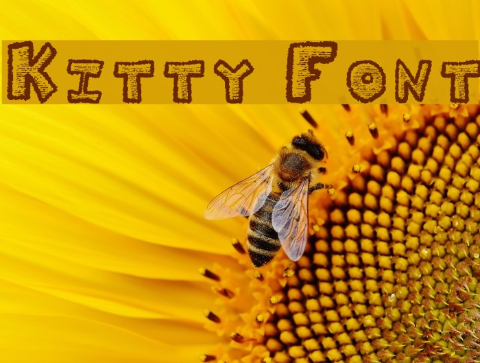 Kitty Font - FFonts.net