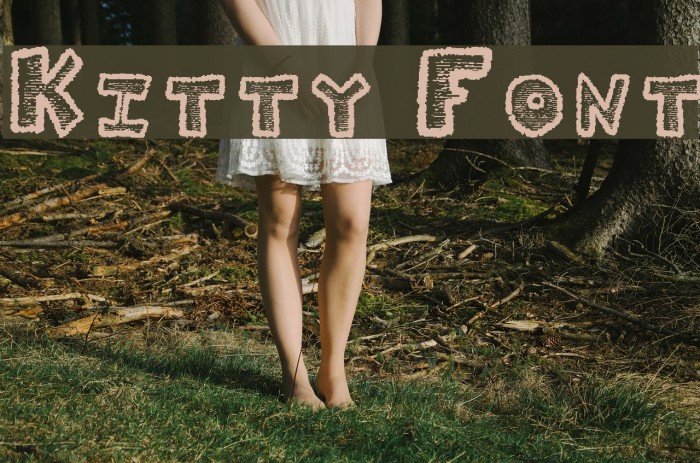 Kitty Font - FFonts.net